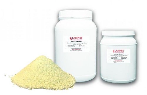 LAMPIRE Biological: especialista en anticuerpos personalizados y ...