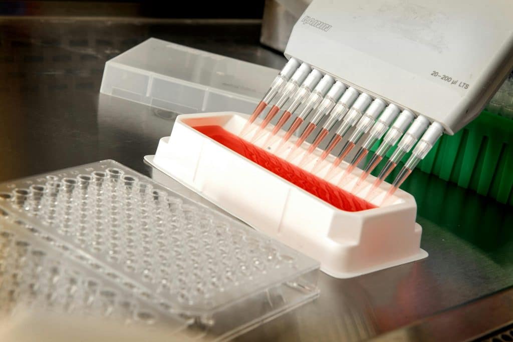Kits ELISA Bethyl™: Precisión y confianza para tu investigación - Cientisol